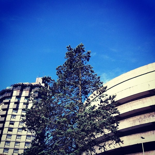 Silo Auto - 1 tip from 259 visitors