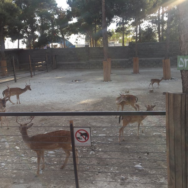 Photos at Tehran Zoo | باغ وحش تهران - منطقه ۵ - Eram Park