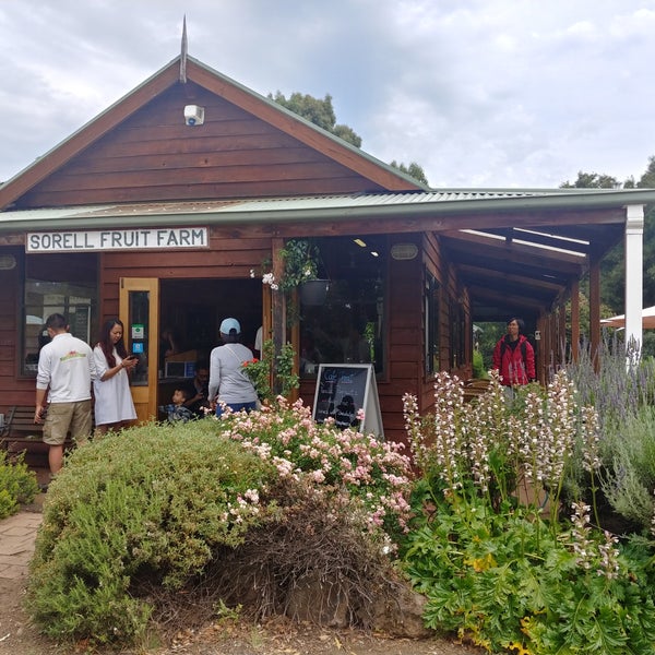 Sorell Fruit Farm - 4 tips from 145 visitors