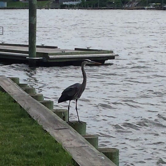 Photos at Wilson Point Park - Park