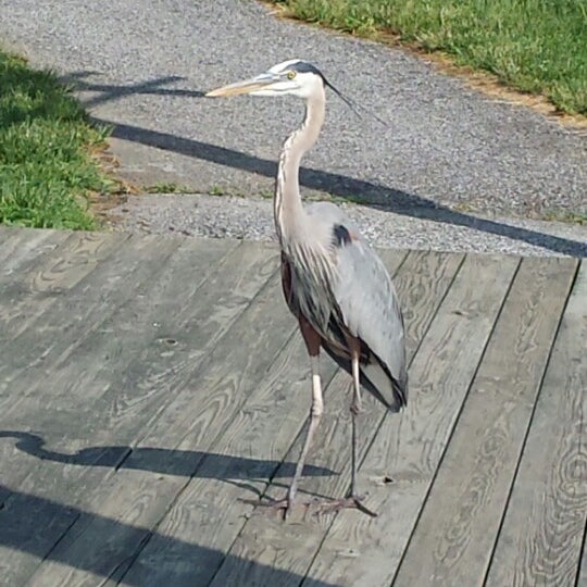 Photos at Wilson Point Park - Park