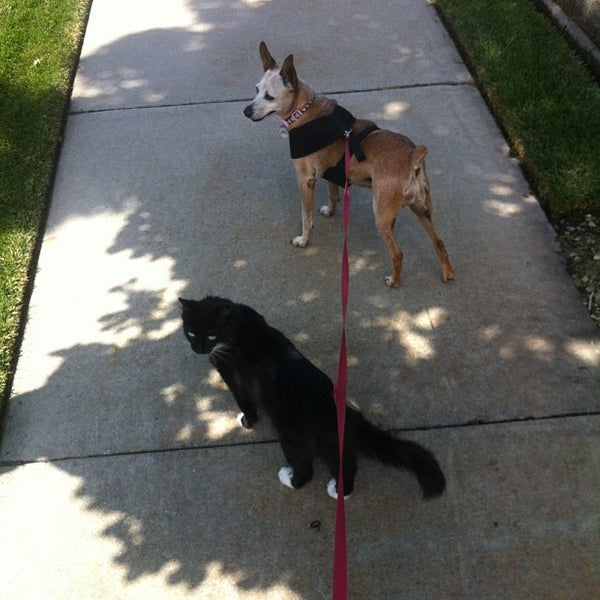 Lester Les Knott Park - Livermore, CA