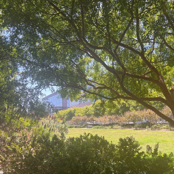 Mission Creek Park - Mission Bay - San Francisco, CA