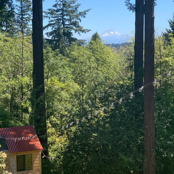 City of Happy Valley - City