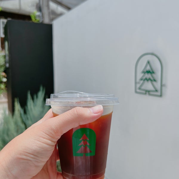 Evergreen (เอเวอร์กรีน) - Café in Chiang Mai