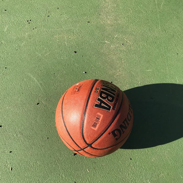 Photos at Broadview-Thomson Elementary School - Elementary School in ...