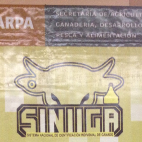 SINIIGA Sistema Nacional de Identificacion Individual de Ganado - 16 ...