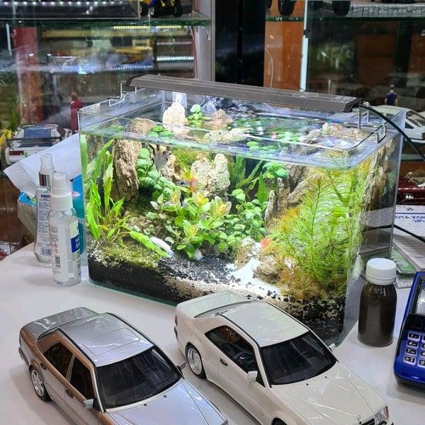 STC Senayan - Jakarta Pusat, Jakarta