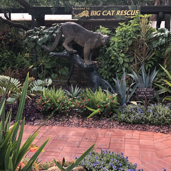 Big Cat Rescue - 26 tips