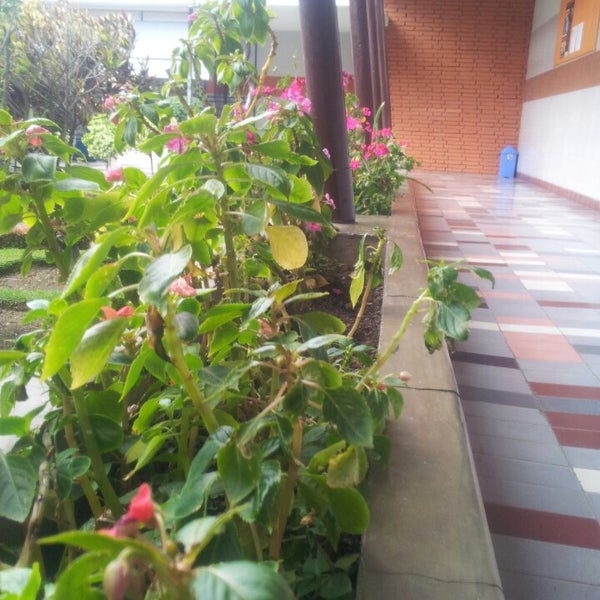 Colegio Pedro Poveda - High School