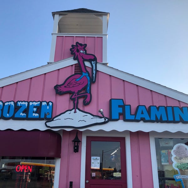 Frozen Pink Flamingo