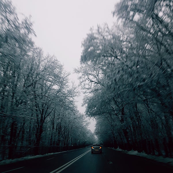 Pădurea Andronache - str. Cumpenei