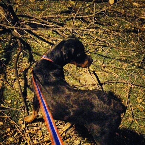 Parque Hermosillo - Park in Monterrey