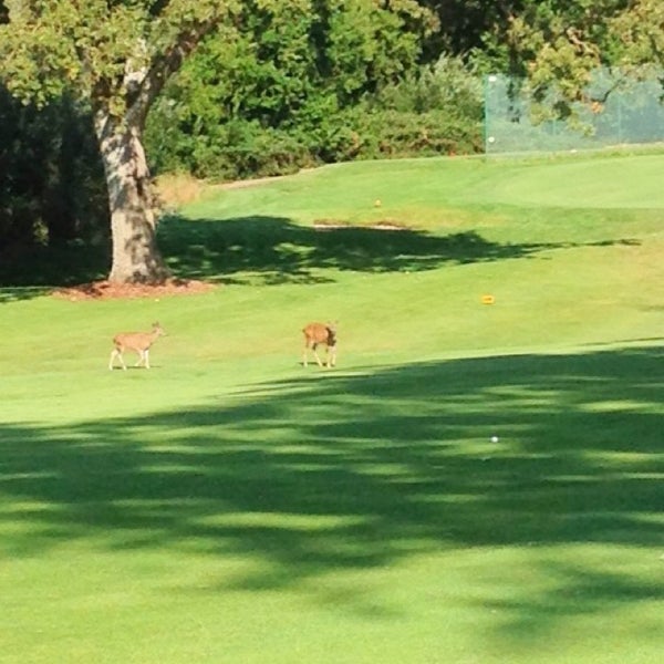 Photos at Indian Valley Golf Course - Novato, CA