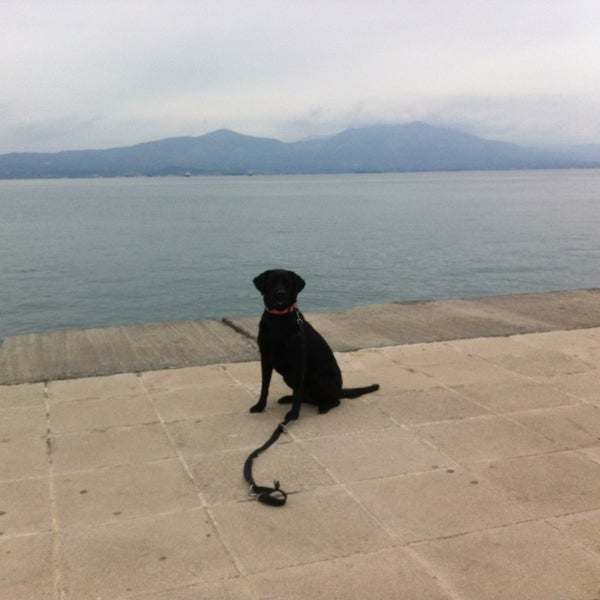 Paralia Oropou