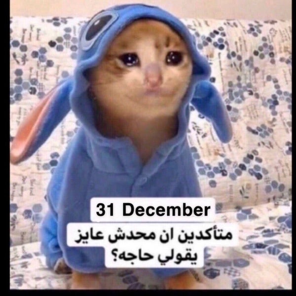 Mishwar Restaurant | مطعم مشوار