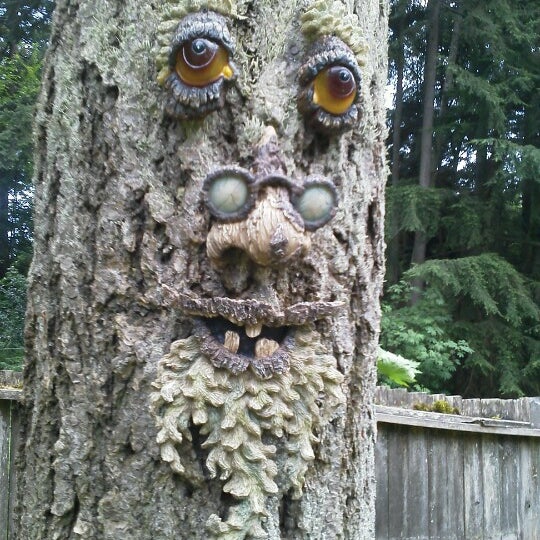 Boerner Fire Arms - Sporting Goods Retail in Bremerton