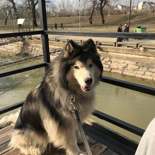 Splav Coco - Novi Beograd - 20 tips from 902 visitors