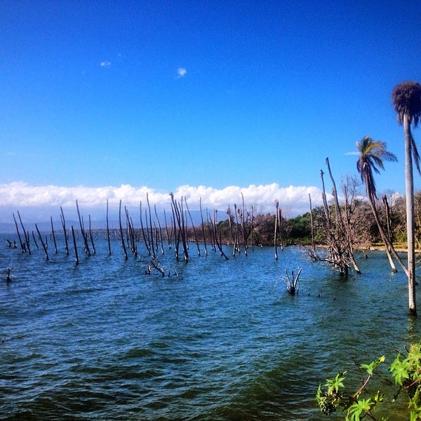 Lago Enriquillo - Lake