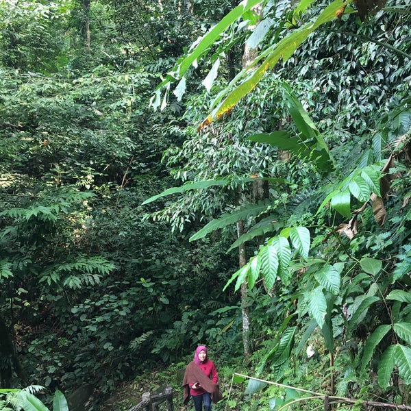 Photos at Air Terjun Sg. Gabai (Waterfall) - 55 tips from 6306 visitors