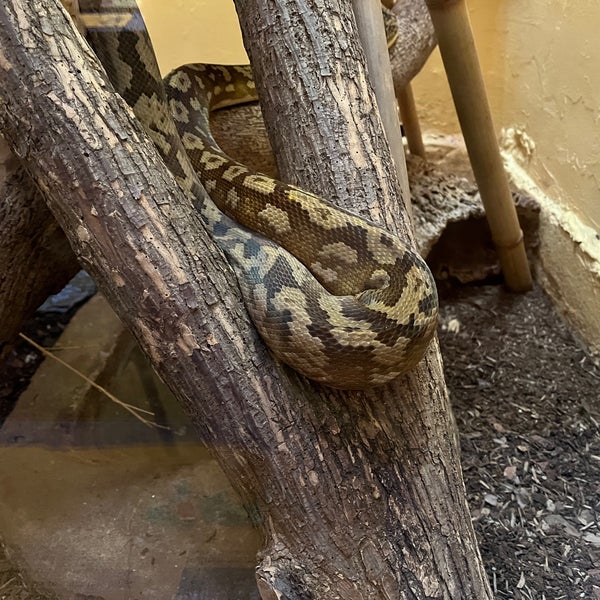 Reptile Discovery Center - Zoo Exhibit in National Zoological Park