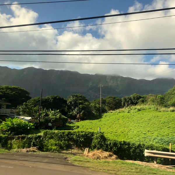 Kuliouou Trail - Kuliouou - Kalani Iki - 8 tips from 453 visitors