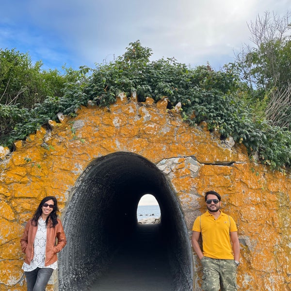 Sheep Point Cove - Newport, RI