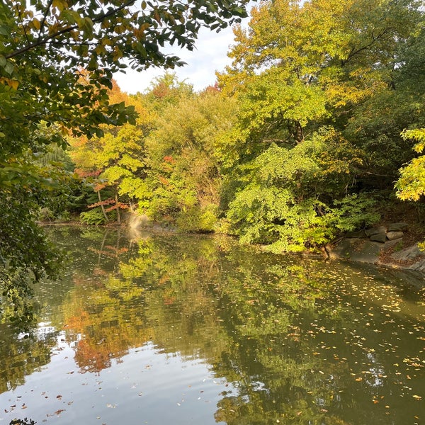 Photos at The Ramble - Central Park - New York, NY
