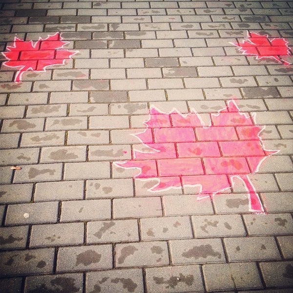 UBC Thunderbird Arena - 3 tips