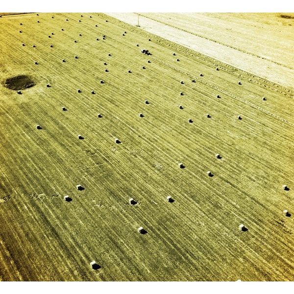 Manjoh Ranch - Holgatefontein