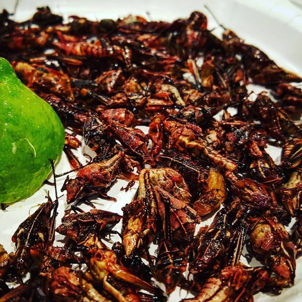 Muy Macho - Mexican Restaurant in South Park