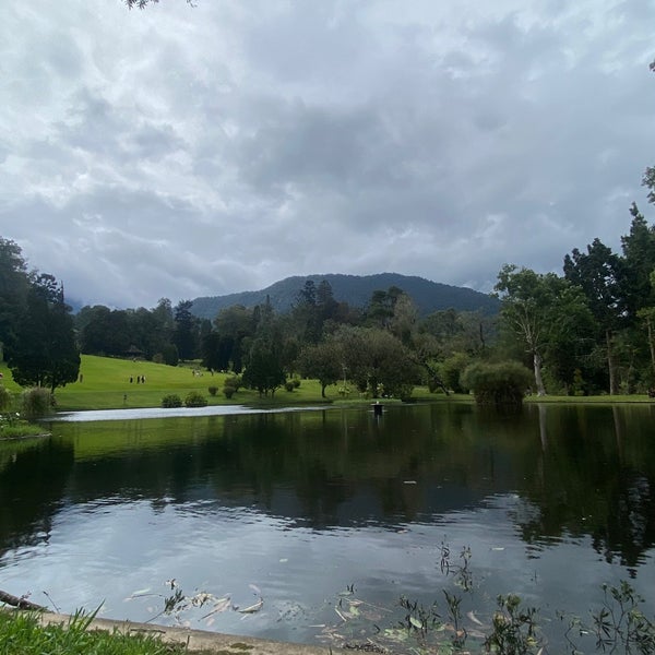 Kebun Raya Taman Wisata Cibodas - Garden