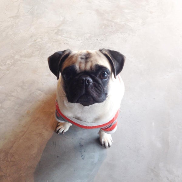 Bow Wow Cafe (Now Closed) - 1F-06, Kompleks Kenari