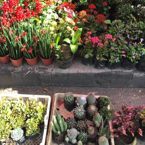 Tanay Public Market - Market in Tanay