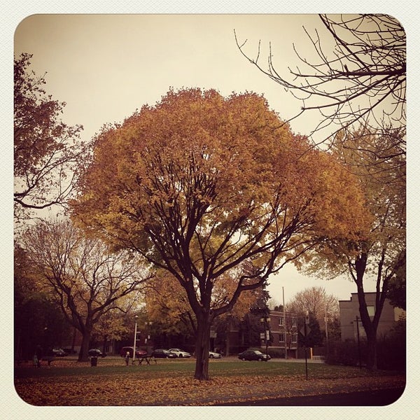 Parc Beaubien - Park in Montreal