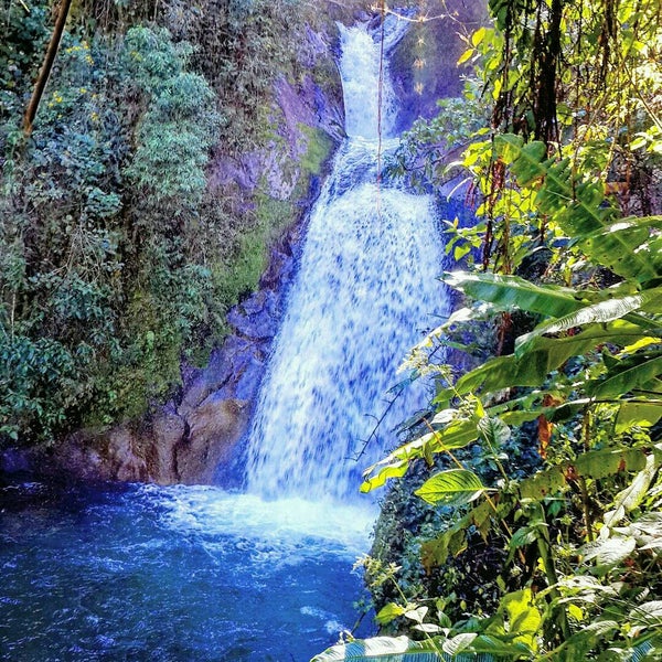 Cloudbridge Nature Reserve - 30 visitors