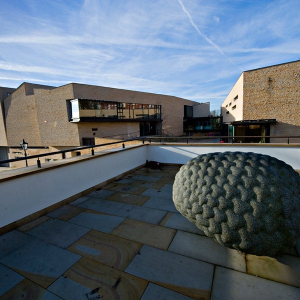 The Collection - 45 Danesgate