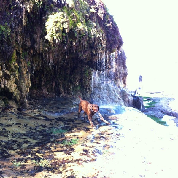 Photos at Crockett Gardens And Falls - Georgetown, TX
