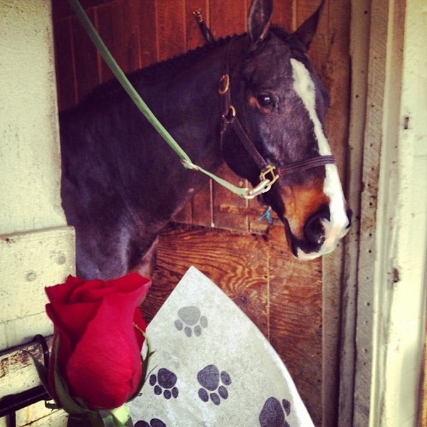 Photos at Prince George's Equestrian Center - Stadium in Upper Marlboro