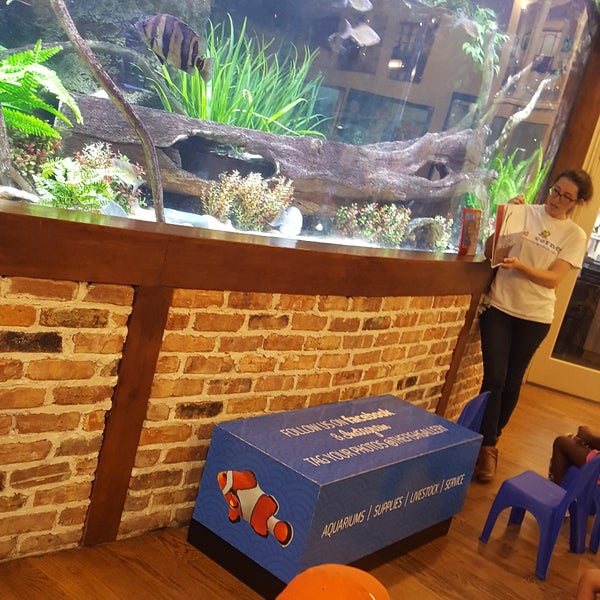 Fish Gallery - 2909 Fountain View Dr