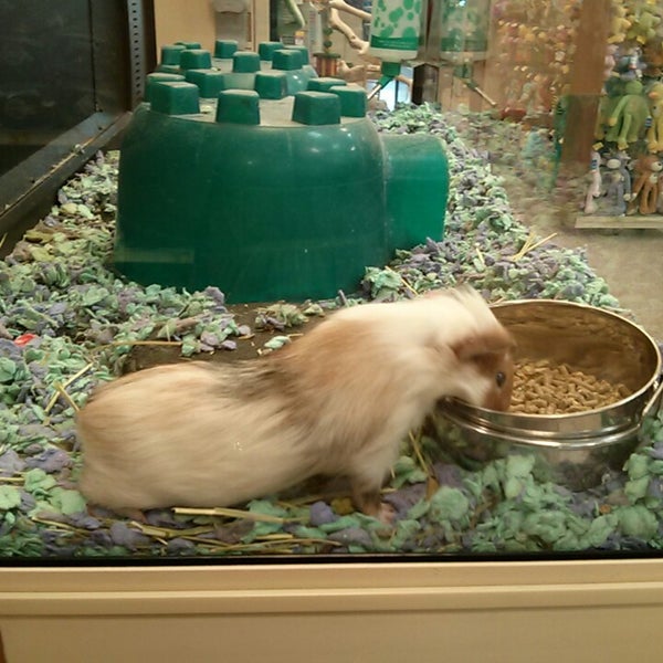 Photos at PetSmart - Brea, CA