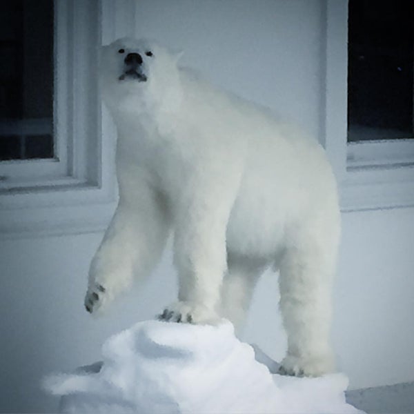 Photos at Birge Hall - College Science Building in Madison