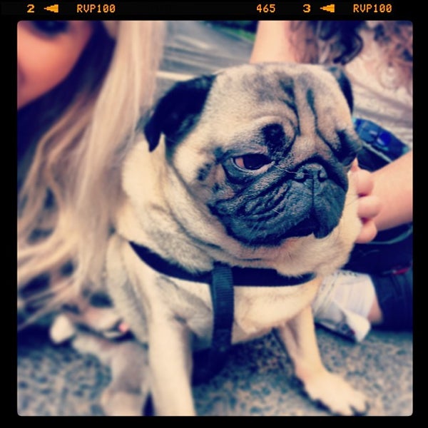 Photos at Oak House - College Residence Hall in Manchester, Greater ...