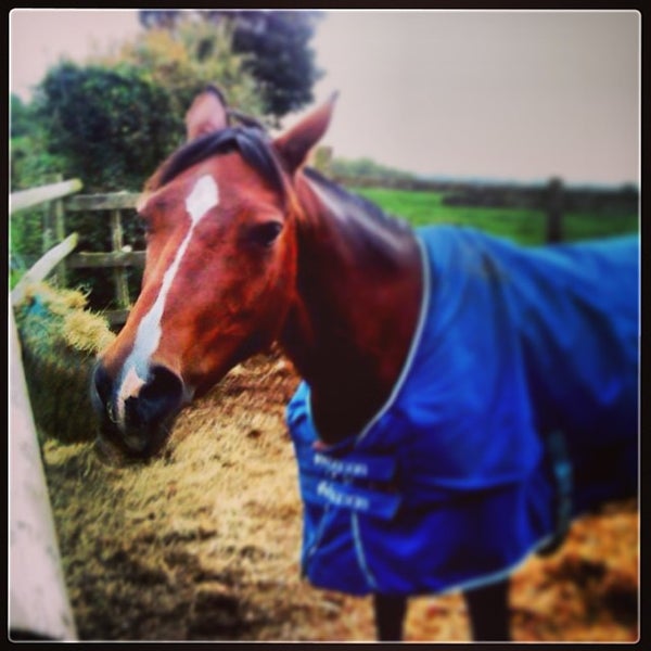 Photos at Oak House - College Residence Hall in Manchester, Greater ...