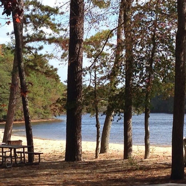 Belleplain State Forest - Woodbine, NJ