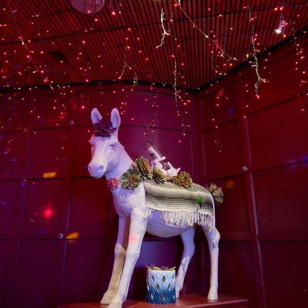 Ghost Donkey - Bar