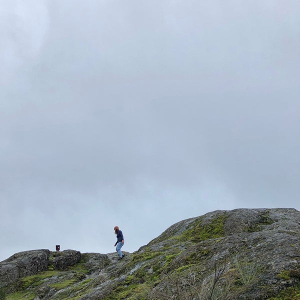 Mt Finlayson - 3 tips from 72 visitors
