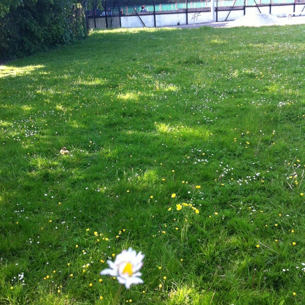 Photos at Talybont Court - Gabalfa, Cardiff
