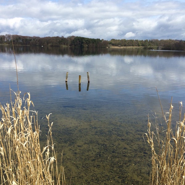 Talkin Tarn Country Park - Talkin Tarn Country Park