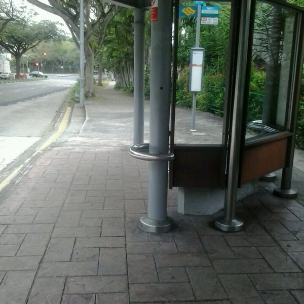 Bus Stop 56021 (Opp Sembawang Hill FC) - Ang Mo Kio - Upper Thomson Rd.